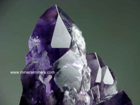 Amethyst Crystals