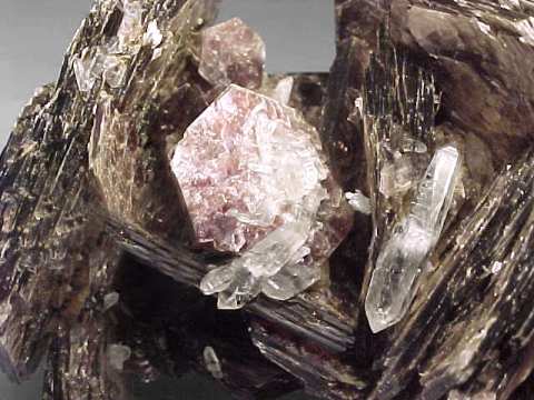 Zinnwaldite Mica Mineral Specimens